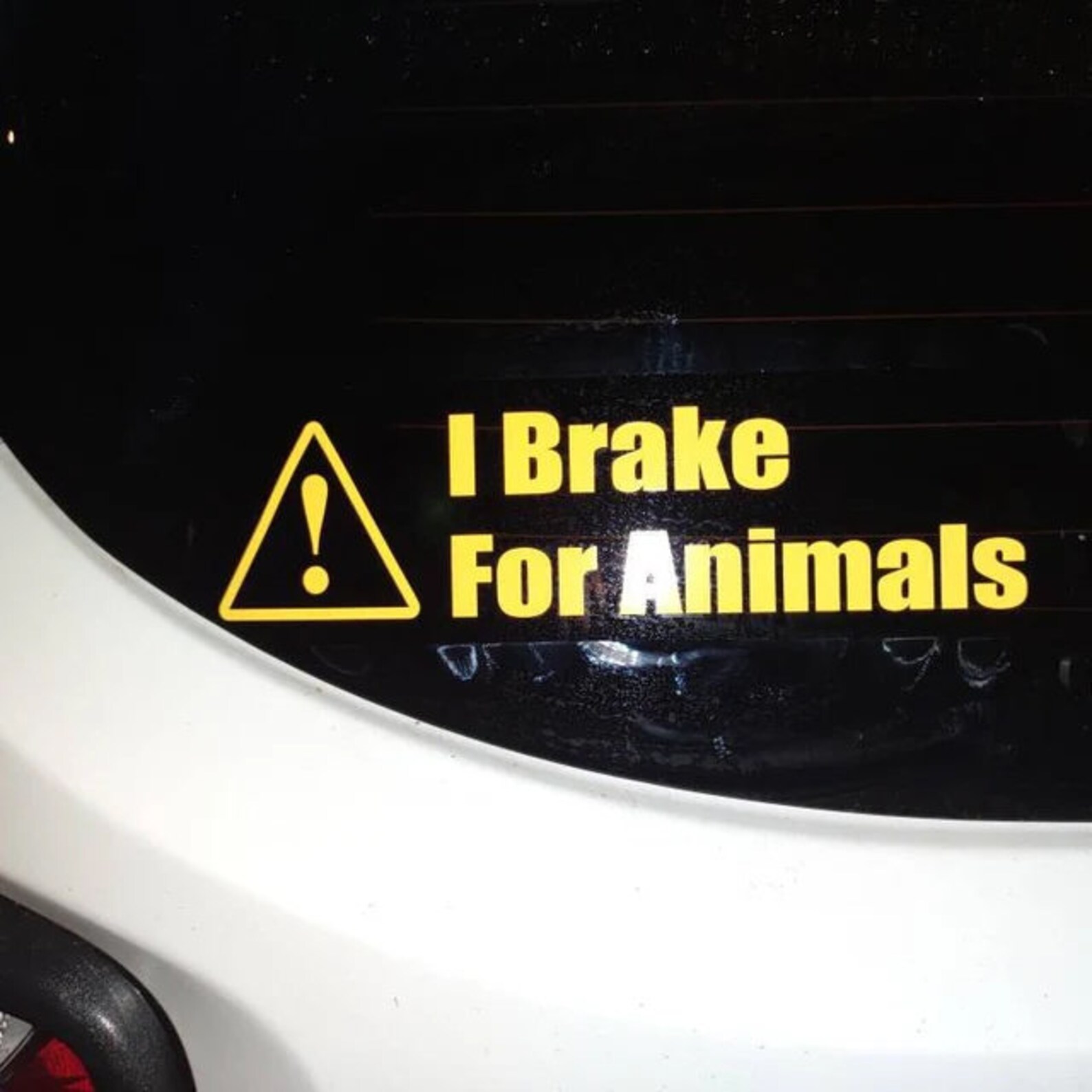 I Brake for Animals Custom Vinyl Sticker - Etsy