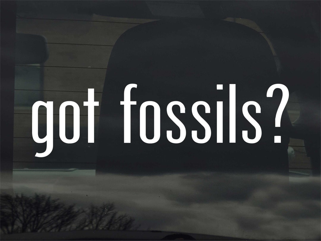 Got Fossils? Custom Vinyl Sticker Decal Dinosaurs Paleontology Geology ...