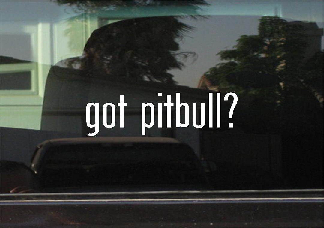 Got Pitbull Custom Vinyl Sticker - Etsy