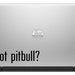 Got Pitbull Custom Vinyl Sticker - Etsy