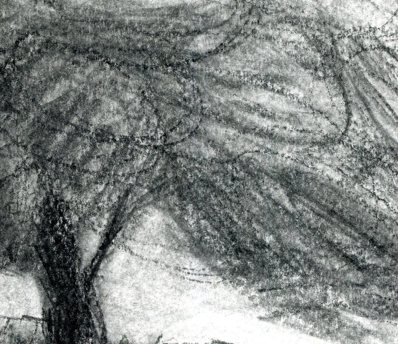 TREE in the WIND Tree Drawing Fine Art Pencil Drawing - Etsy UK