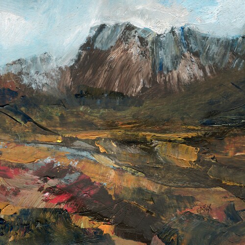 Original Watercolour Painting 'pennine Meadowsweet' | Etsy