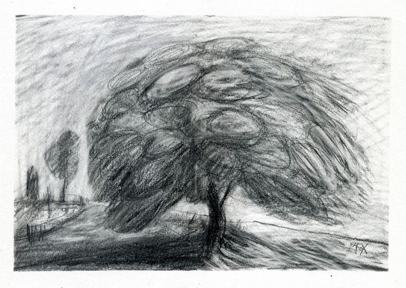 TREE in the WIND Tree Drawing Fine Art Pencil Drawing - Etsy UK