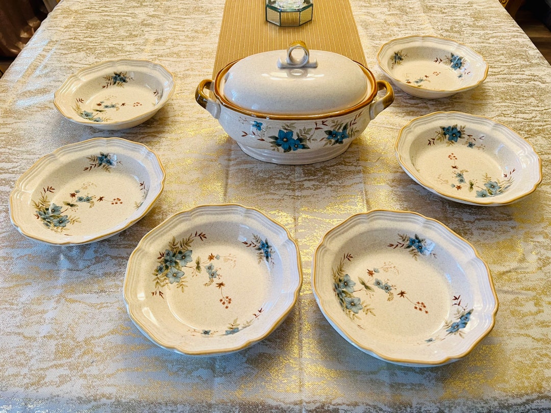 Mikasa Garden Club Day Dreams Dinnerware Bowls Covered Casserole ...