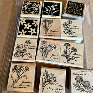 Stampin up Stamps Flower of the Month Kit Petal Prints Botanical ...