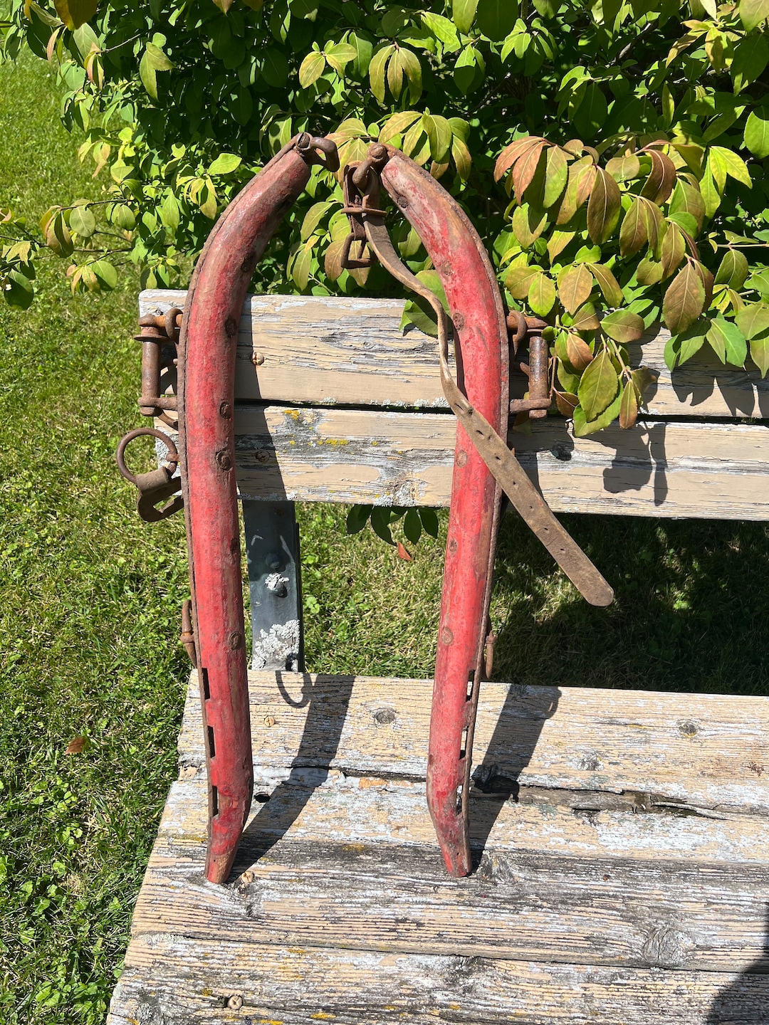 1800s Antique Horse Mule Yoke Harness Hames Collar Original Barn Red ...