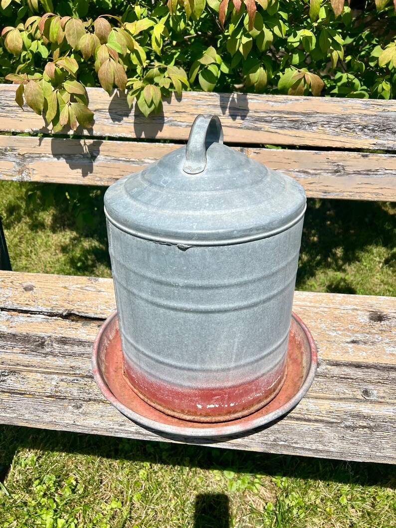 Chicken Waterer Antique Water Can Flower Pots Garden Decor Rustic ...