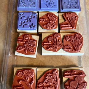 Stampin up Stamps Flower of the Month Kit Petal Prints Botanical ...