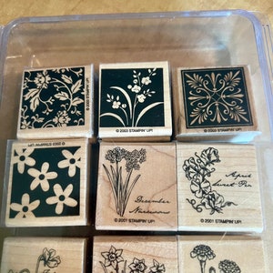Stampin up Stamps Flower of the Month Kit Petal Prints Botanical ...