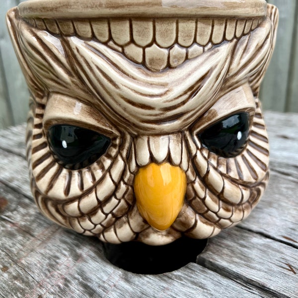 Owl Flower Pot - Etsy