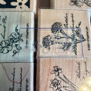 Stampin up Stamps Flower of the Month Kit Petal Prints Botanical ...