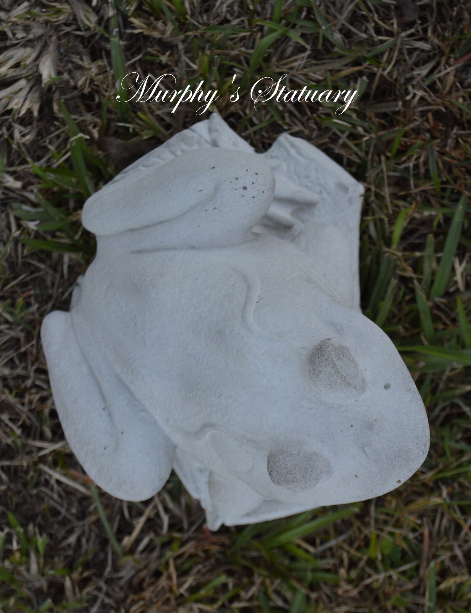 Frog Toad on Log Solid Concrete Statue - Etsy