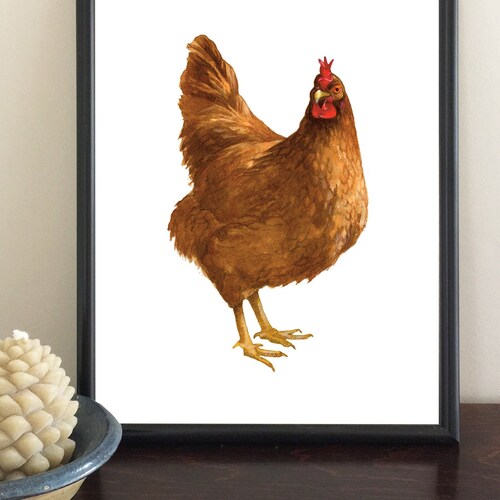 Chicken Watercolor Farm Animal Print Housewarming Gift Pet - Etsy