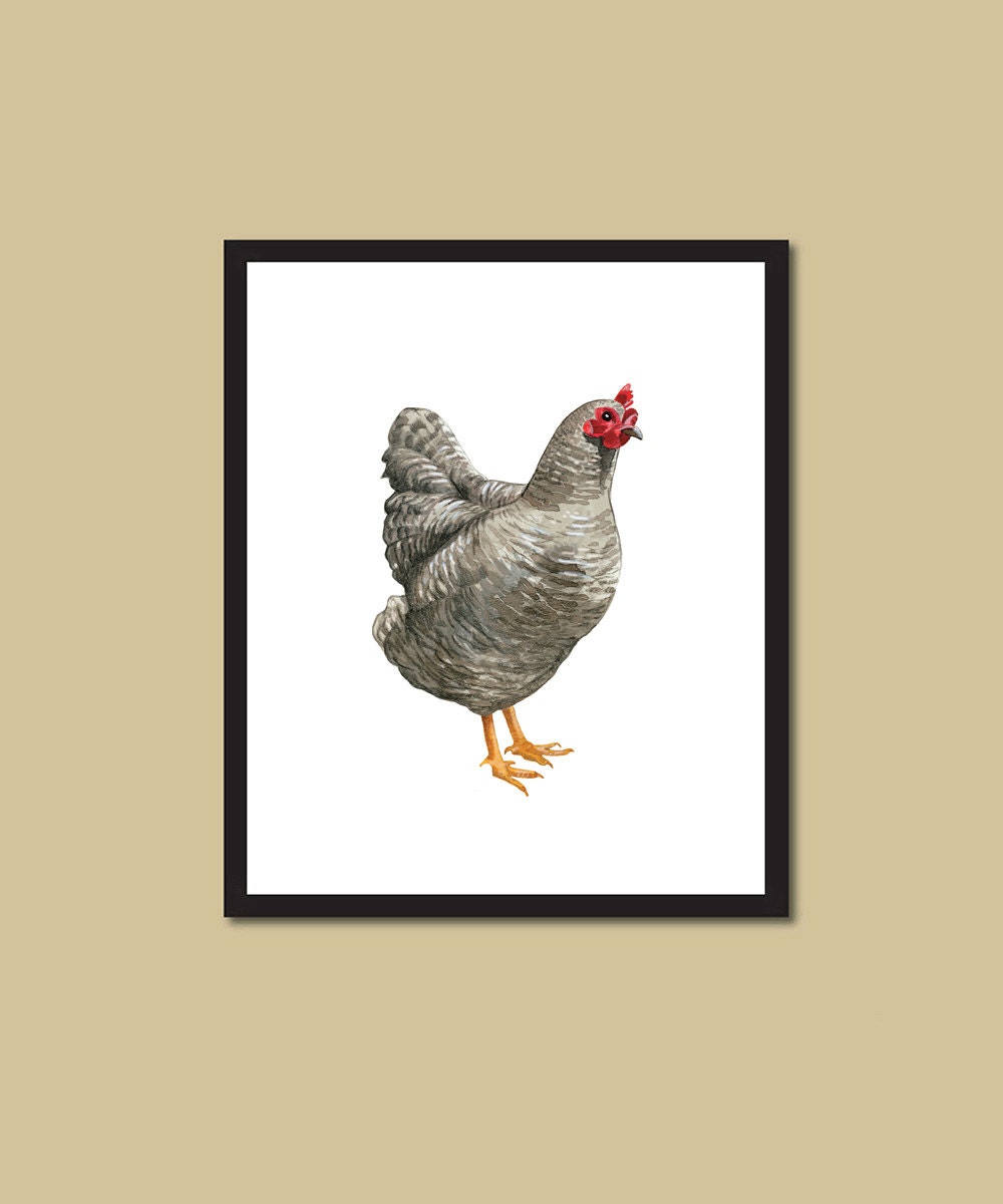 Barred Rock Painting Chicken Art Chicken Coop Accessory - Etsy