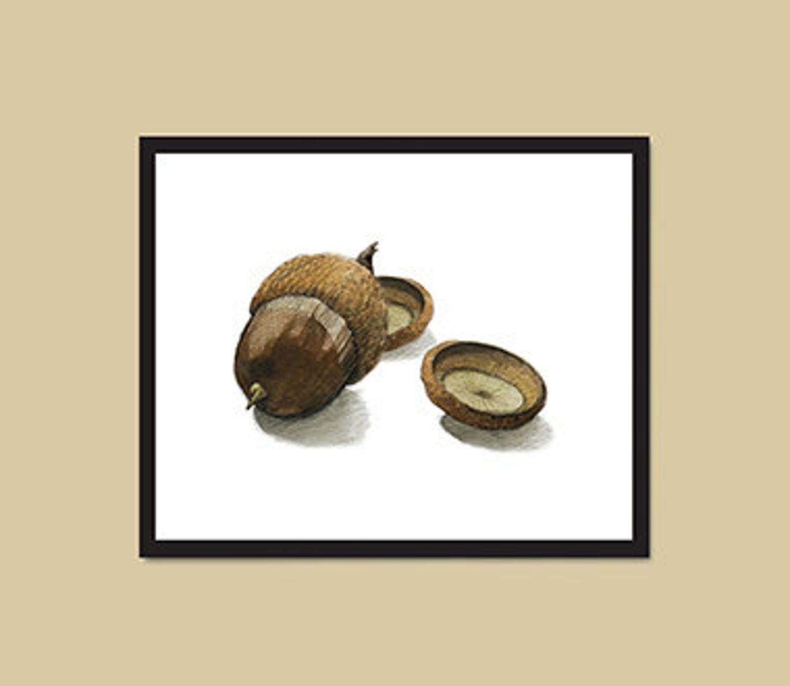 Acorn Art Illustration Watercolor Painting Realtor Closing - Etsy