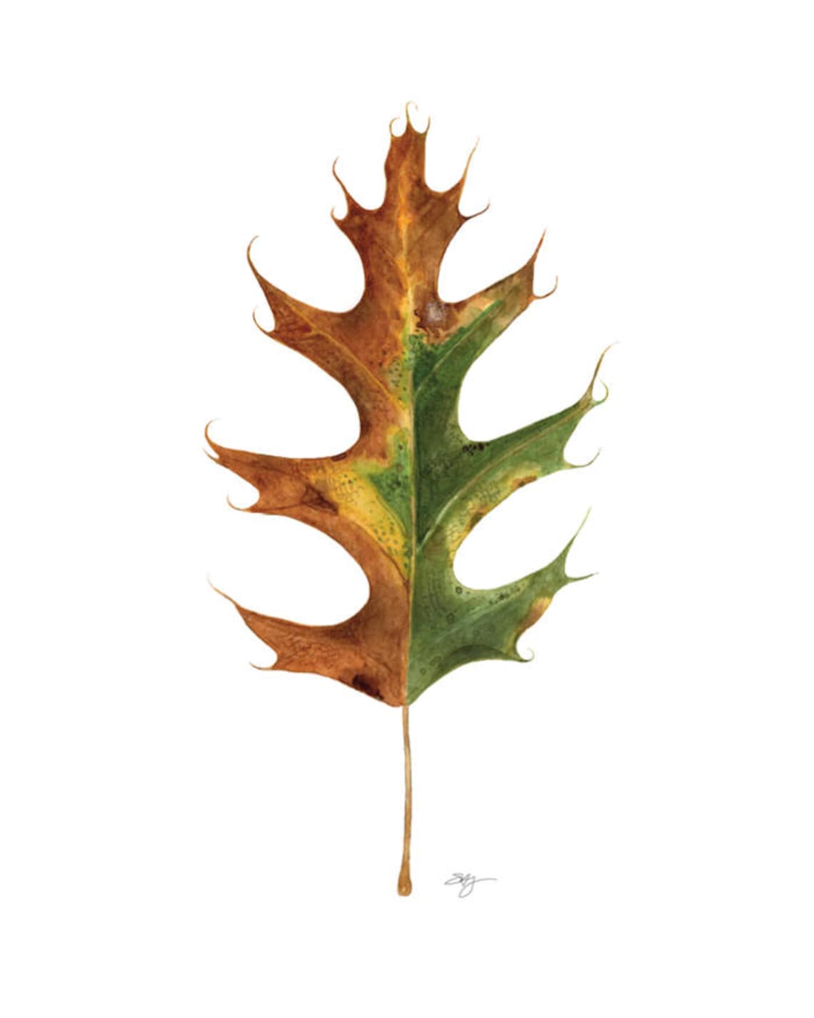 Oak Leaf Print Nature Watercolor Fall Autumn Decor Gift for | Etsy