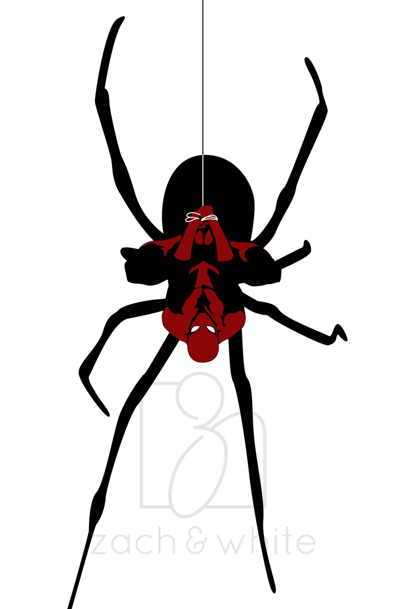 Spiderman Hanging Upside Down, Spidey, Web, Original Art, 16x20 Print ...