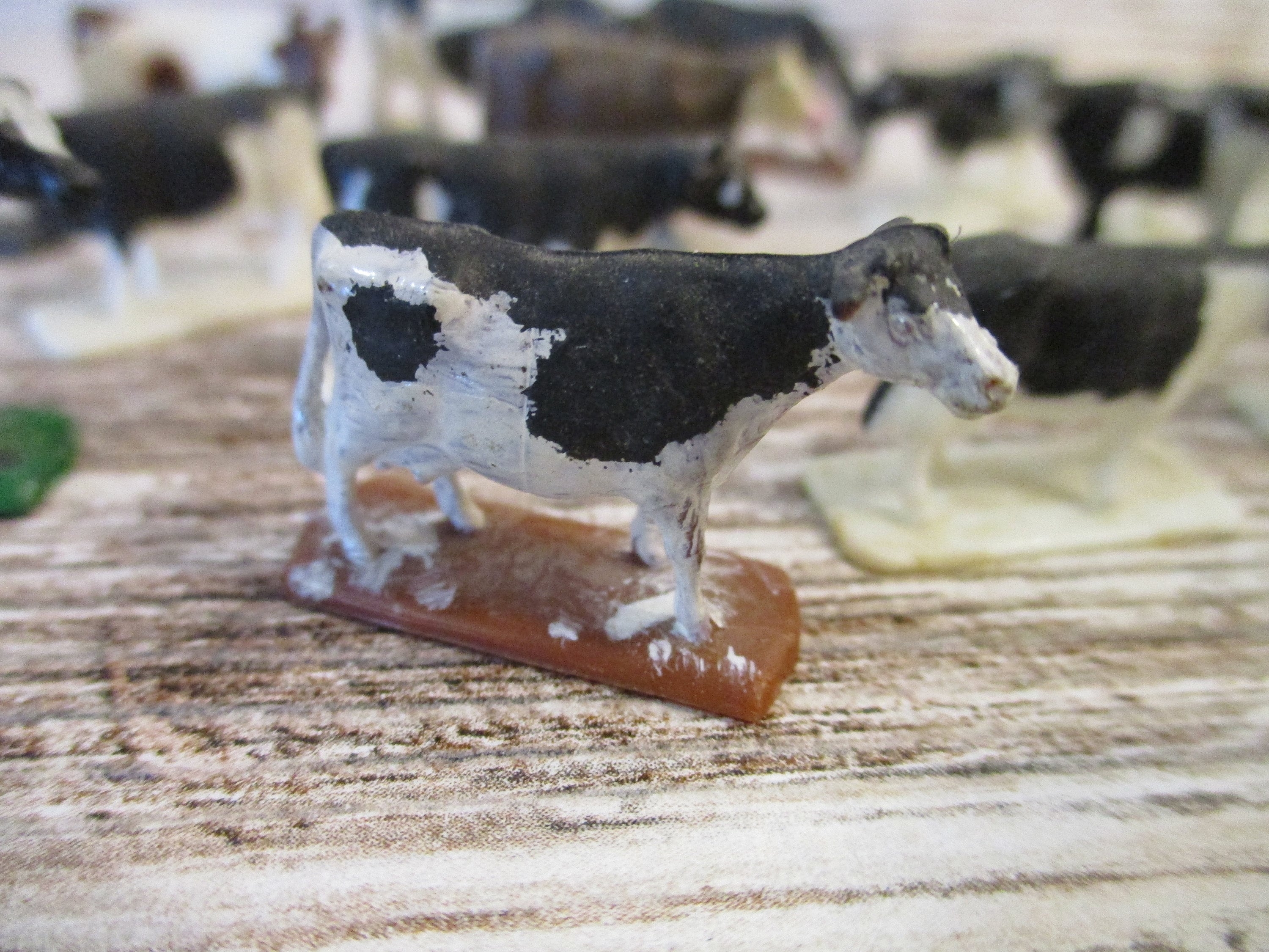 Miniature Milk Cow