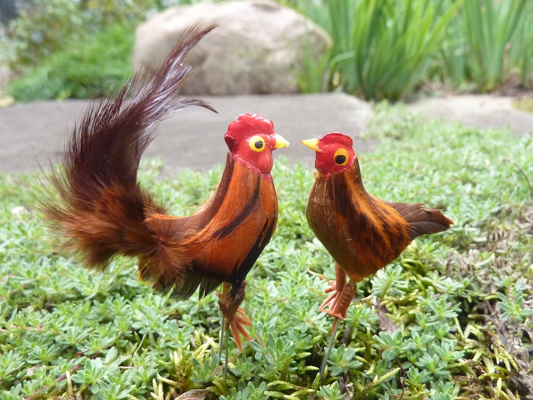 Vintage Miniature Rooster & Chicken Picks: Wired Birds, Feathered ...