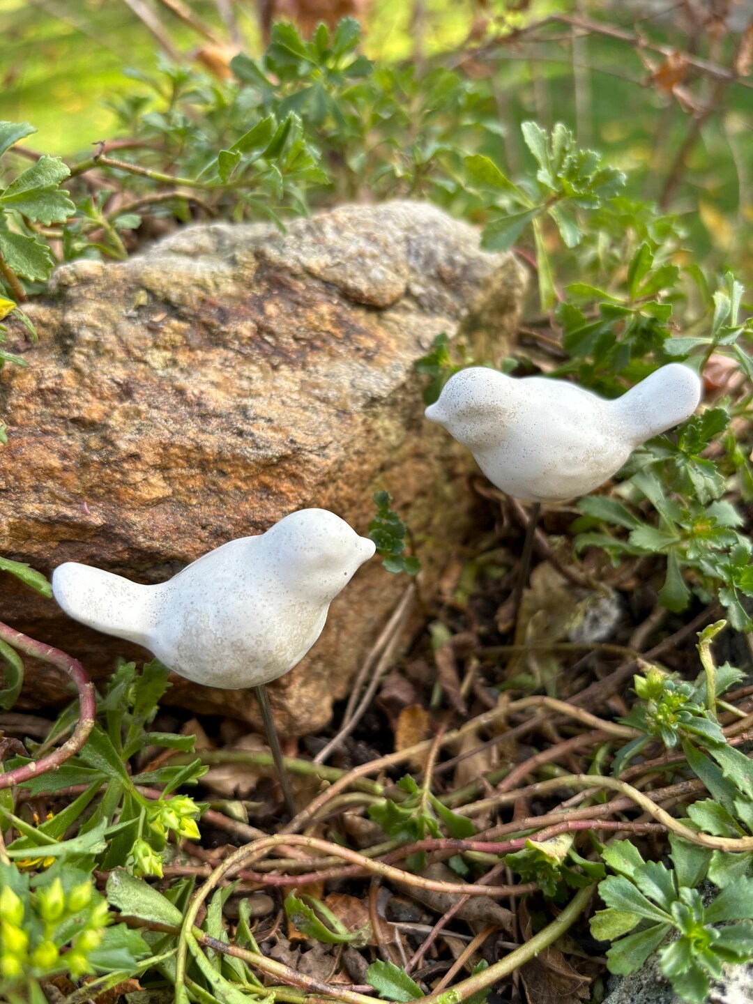 2 Miniature Bird Picks Succulent Garden Fairy Garden Plant Stake Bird ...