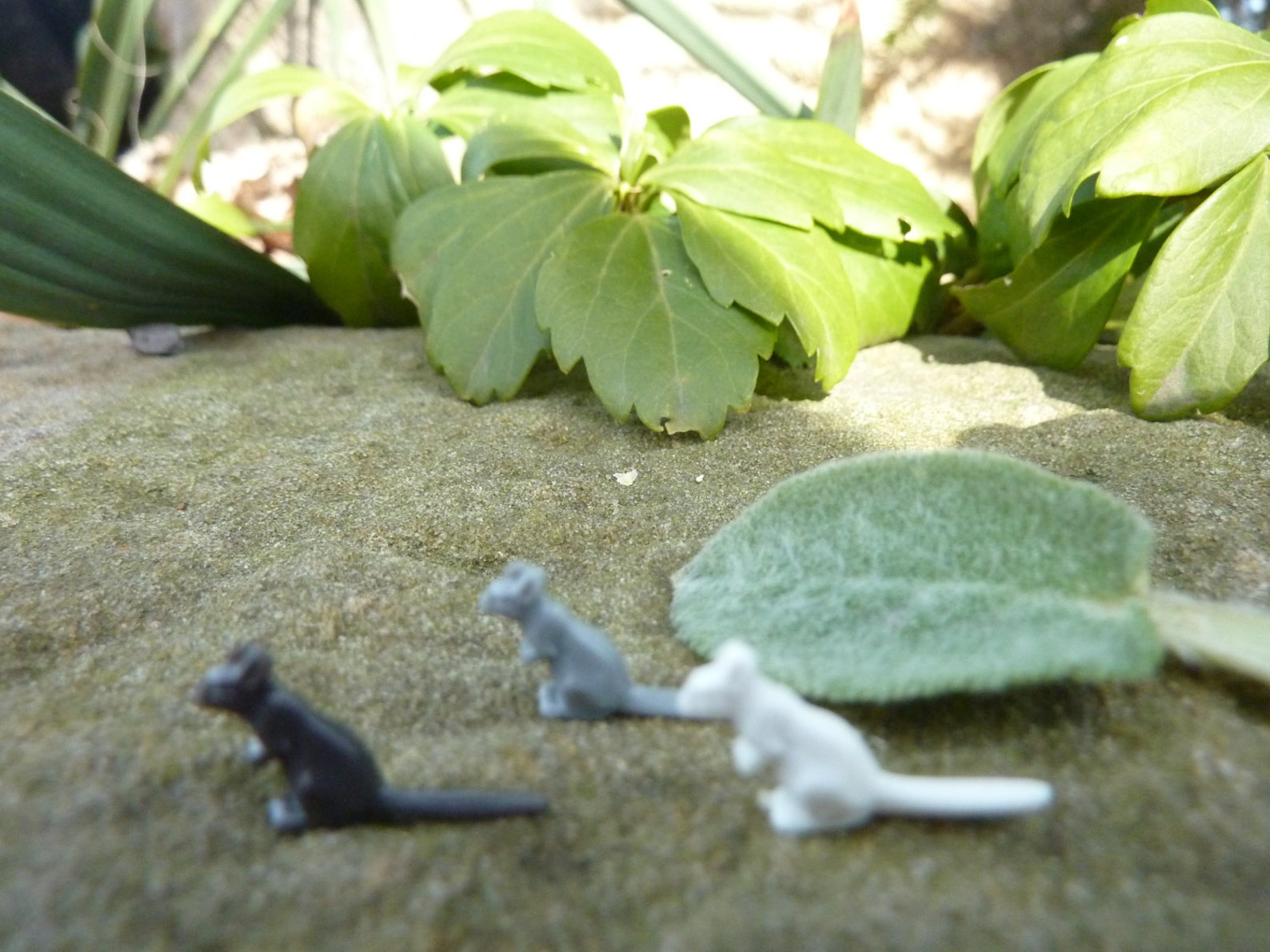 3 Miniature Mice Mouse Micro Plastic Animal Terrarium Animal - Etsy