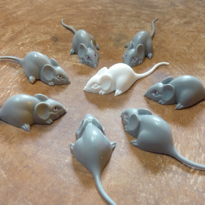Plastic Mouse - Etsy