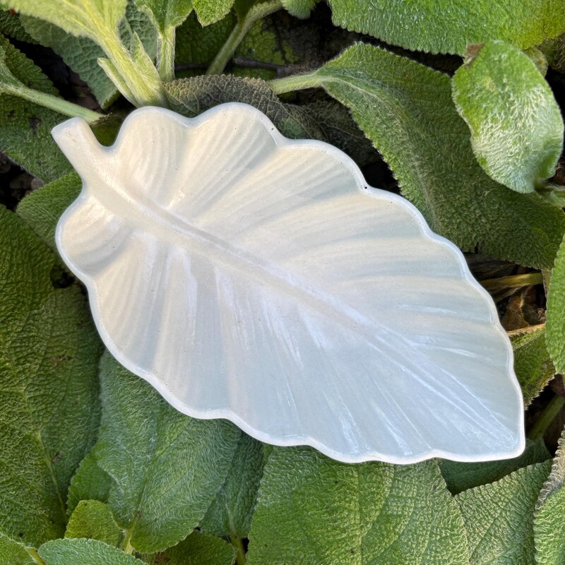 Cement Dish for Dish Garden - Etsy