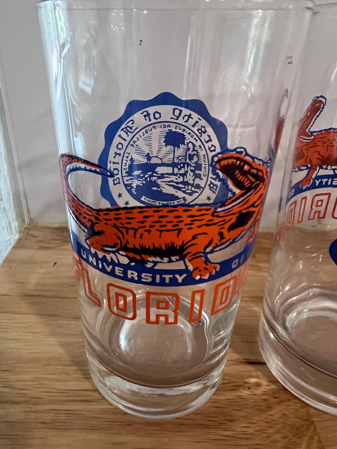 Vintage Florida Gator Tall Drink Glass Set of Four - Etsy