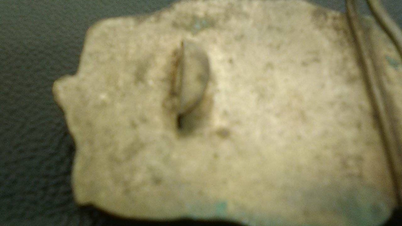 MONKEY BUSINESS Belt Buckle. Monkeys in an Orange Grove, Inactive ...