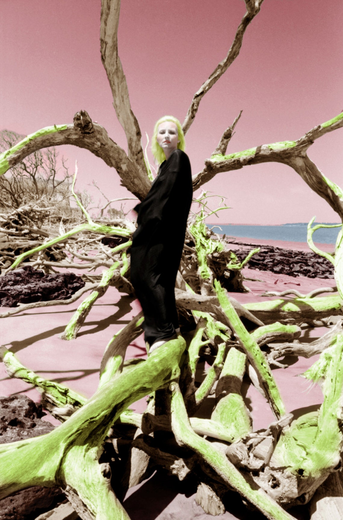 Vampire Beach Postcard Vamplified Succubus Necromancer - Etsy