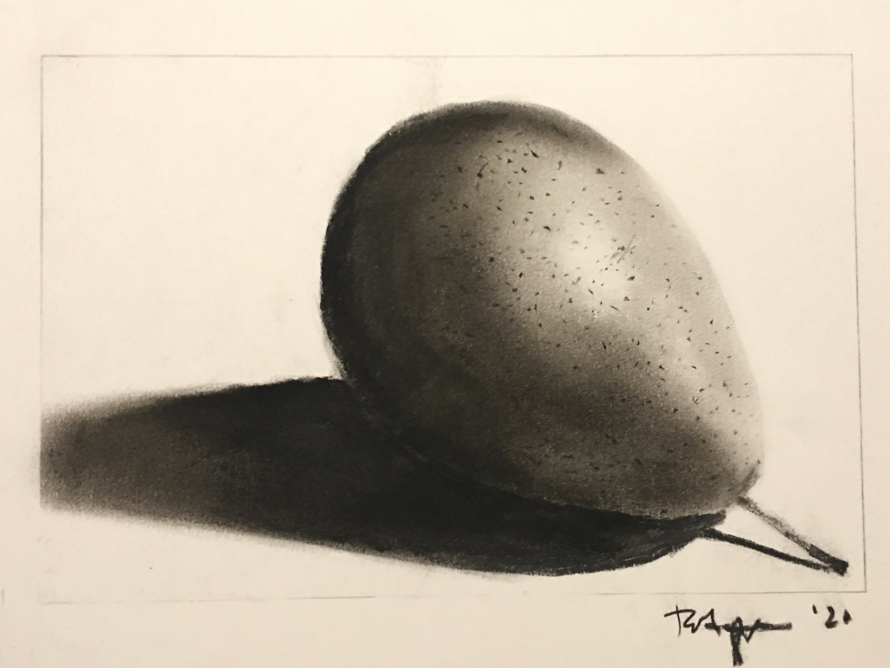 Portrait of a Pear 2 charcoal - Etsy