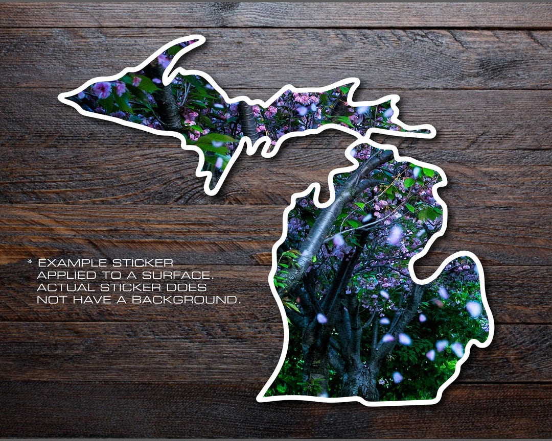 Michigan Mitten Vinyl Decal Sticker A31 - Etsy
