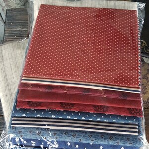 Quilt Kit and Pattern: Freedom Star Quilt by Country Threads - Etsy