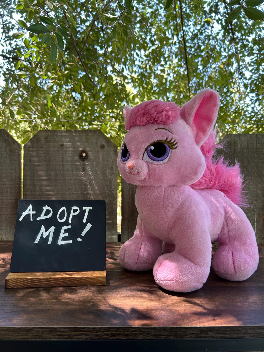 ESSA Weighted Rescue Plush - Beauty the Cat 1.5lbs - Etsy