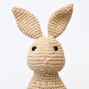 Pixie the Rabbit Amigurumi Pattern, Bunny Crochet Pattern, Easter ...