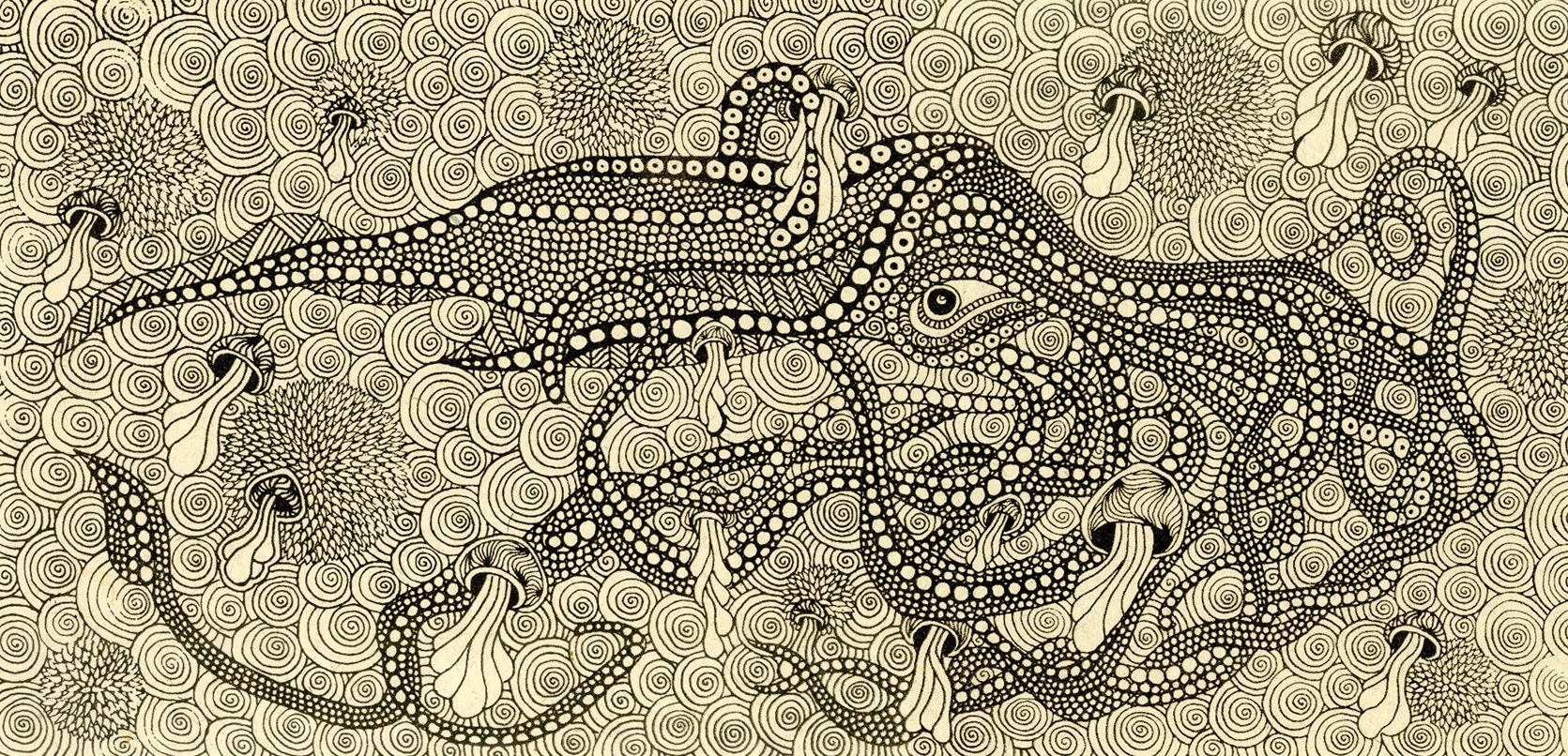 Squid Print. Squid Art Print. Kraken Print. Squid Screen - Etsy