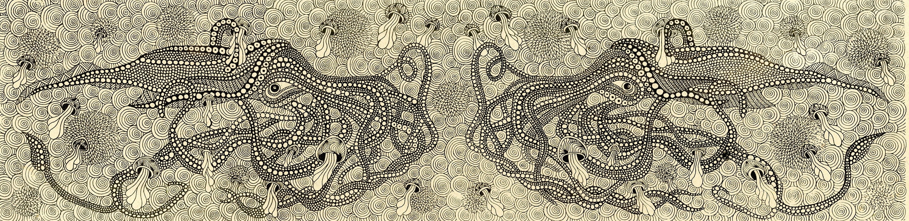 Squid Print. Squid Art Print. Kraken Print. Squid Screen - Etsy