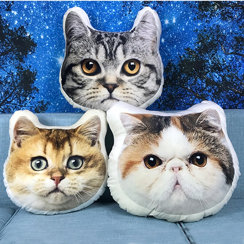 Personalized Pillow DIY Cat Pet Photo Homemade Cat Head Custom - Etsy