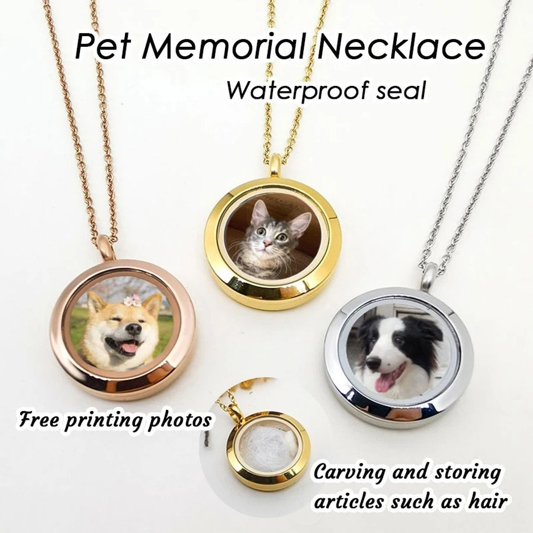 Personalization Pet Photo Locket Necklace, Glass Locket Pendant ...