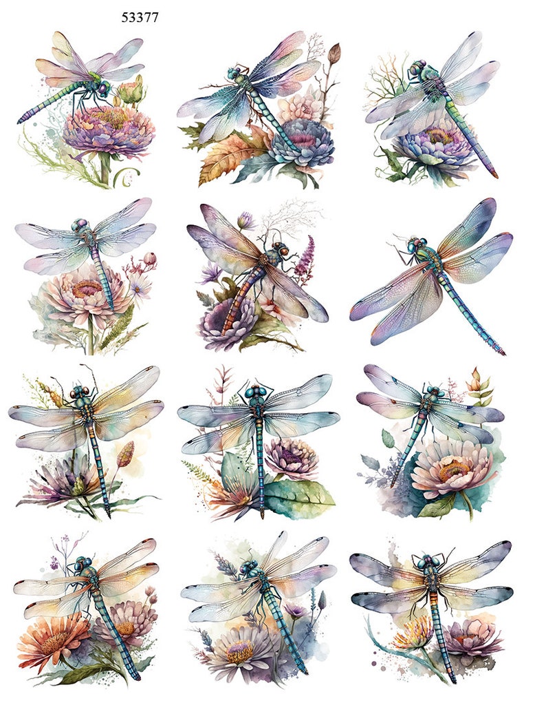 Watercolor Dragonflies and Flowers - Ceramic Decals- Enamel Decal ...