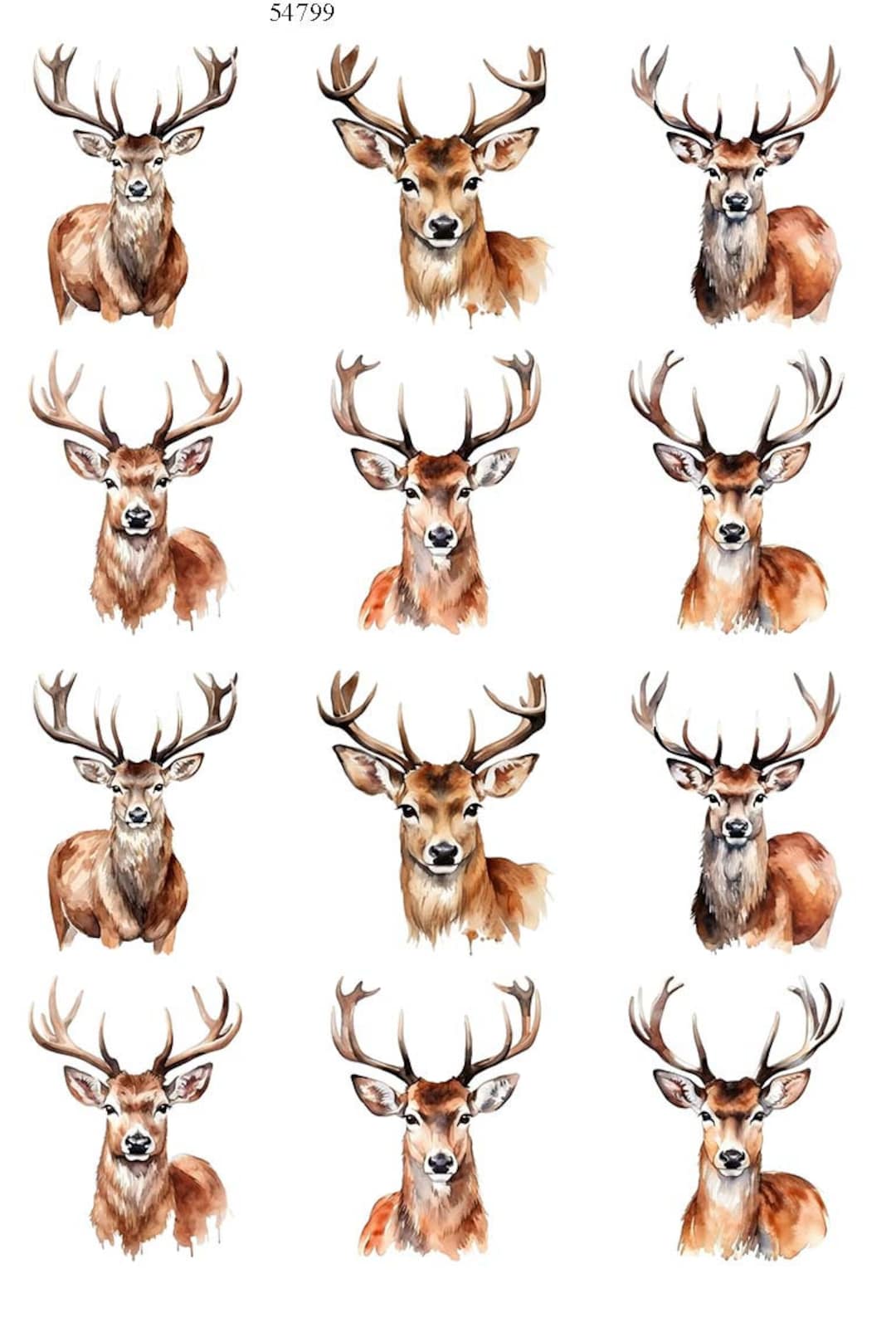 Deer Head - Buck - Ceramic Decals- Enamel Decal - Glass Decal- 54799 - Etsy