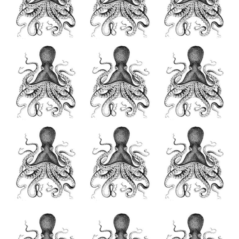 Overglaze Decals Vintage - Etsy