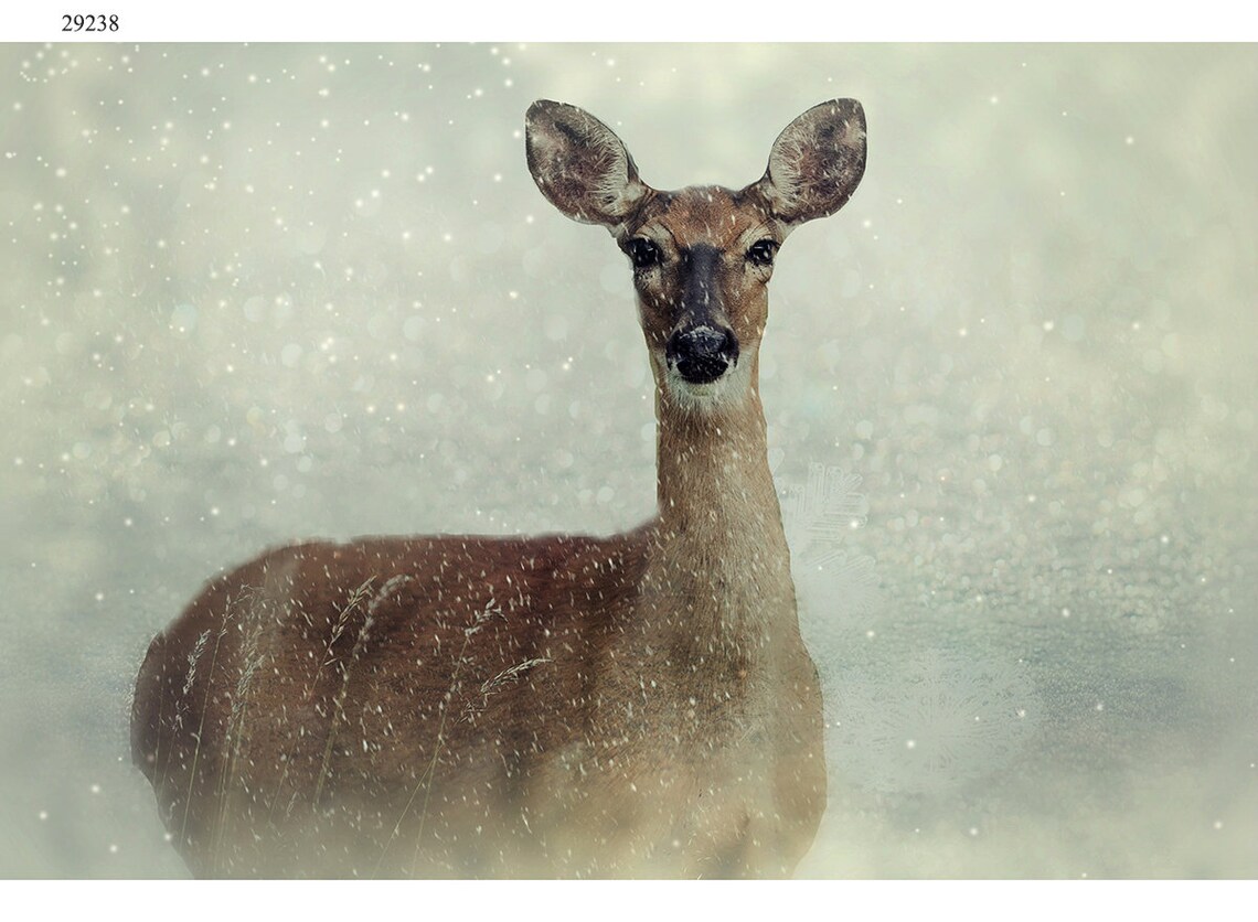 Deer in Snow Ceramic Decals Enamel Decal Fusible Decal - Etsy