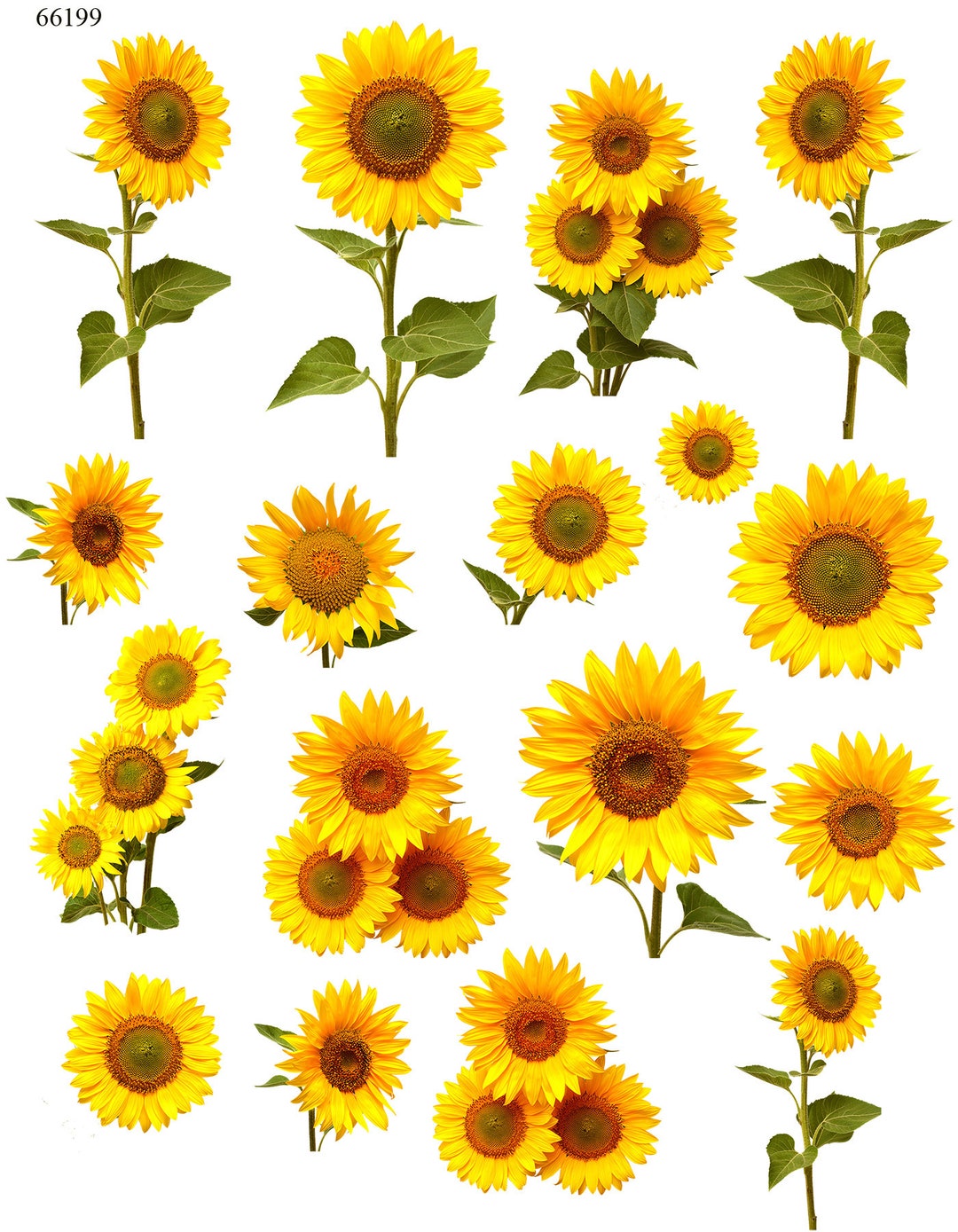 Glorious Sunflowers - Ceramic Decals- Enamel Decal - Glass Decal- 66199 ...