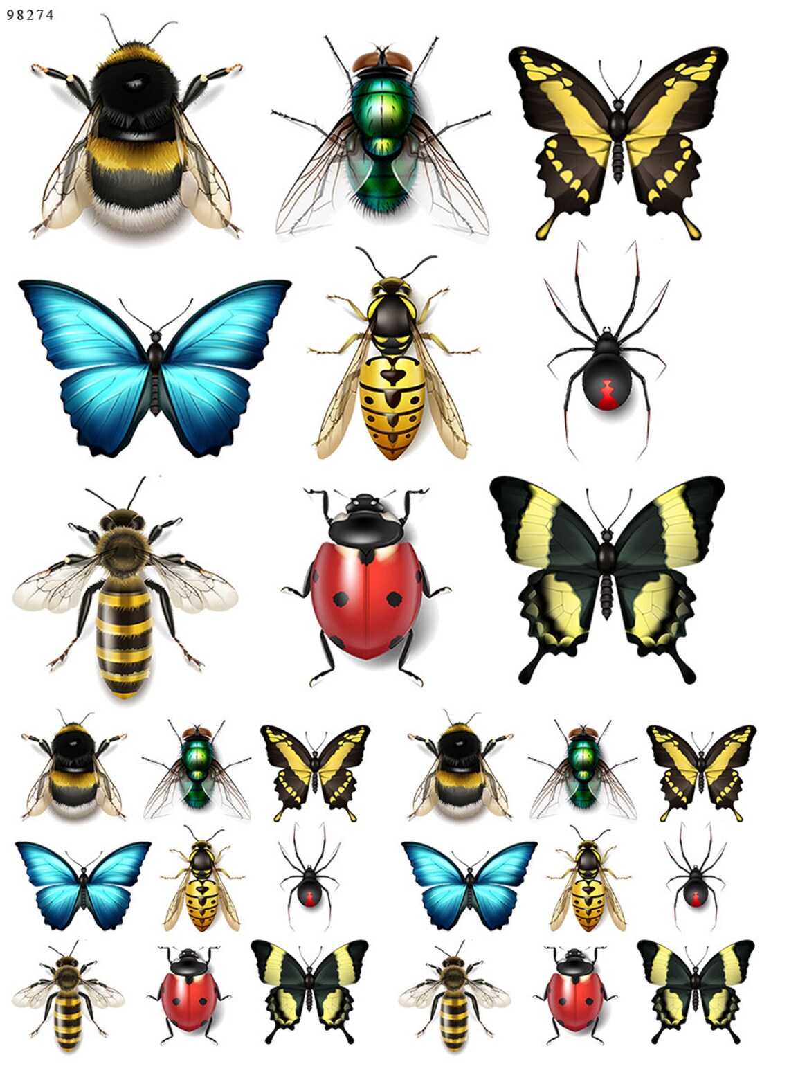 Realistic Insects Ceramic Decals Enamel Decal Fusible | Etsy