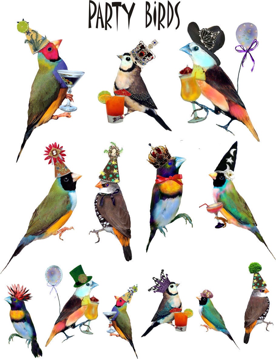 Party Birds Ceramic Decals Enamel Decal Fusible Decal - Etsy