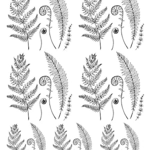 Fern Topia - Ceramic Decals- Enamel Decal - Glass Decal- 71457 - Etsy