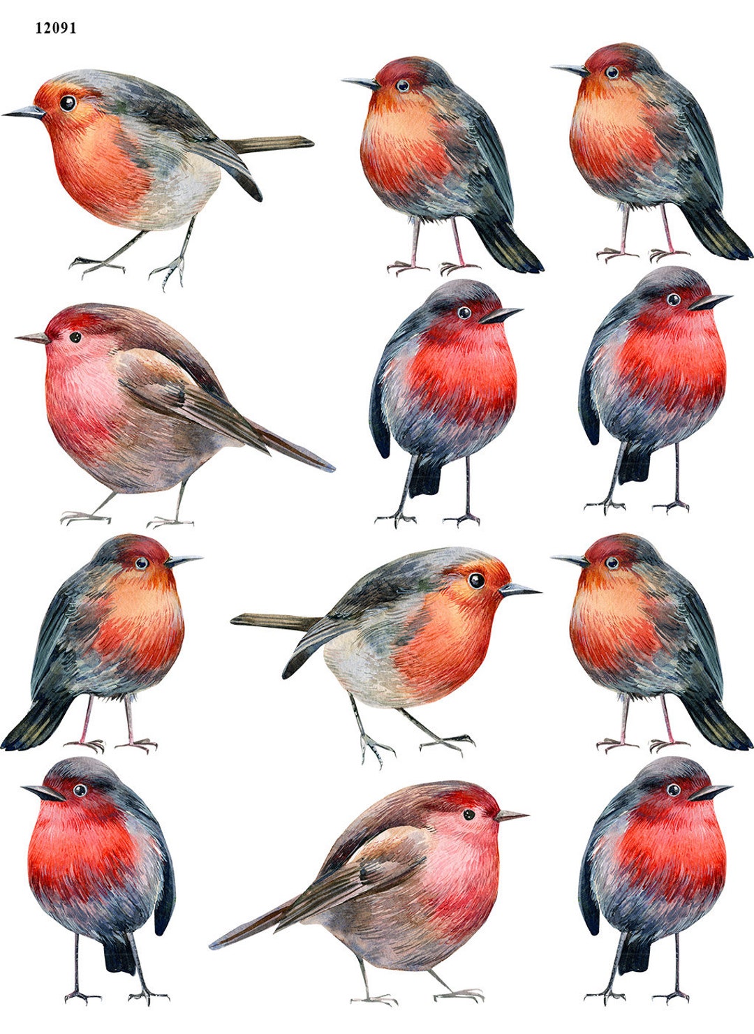 Red Robins - Ceramic Decals- Enamel Decal - Glass Decal- 12091 - Etsy