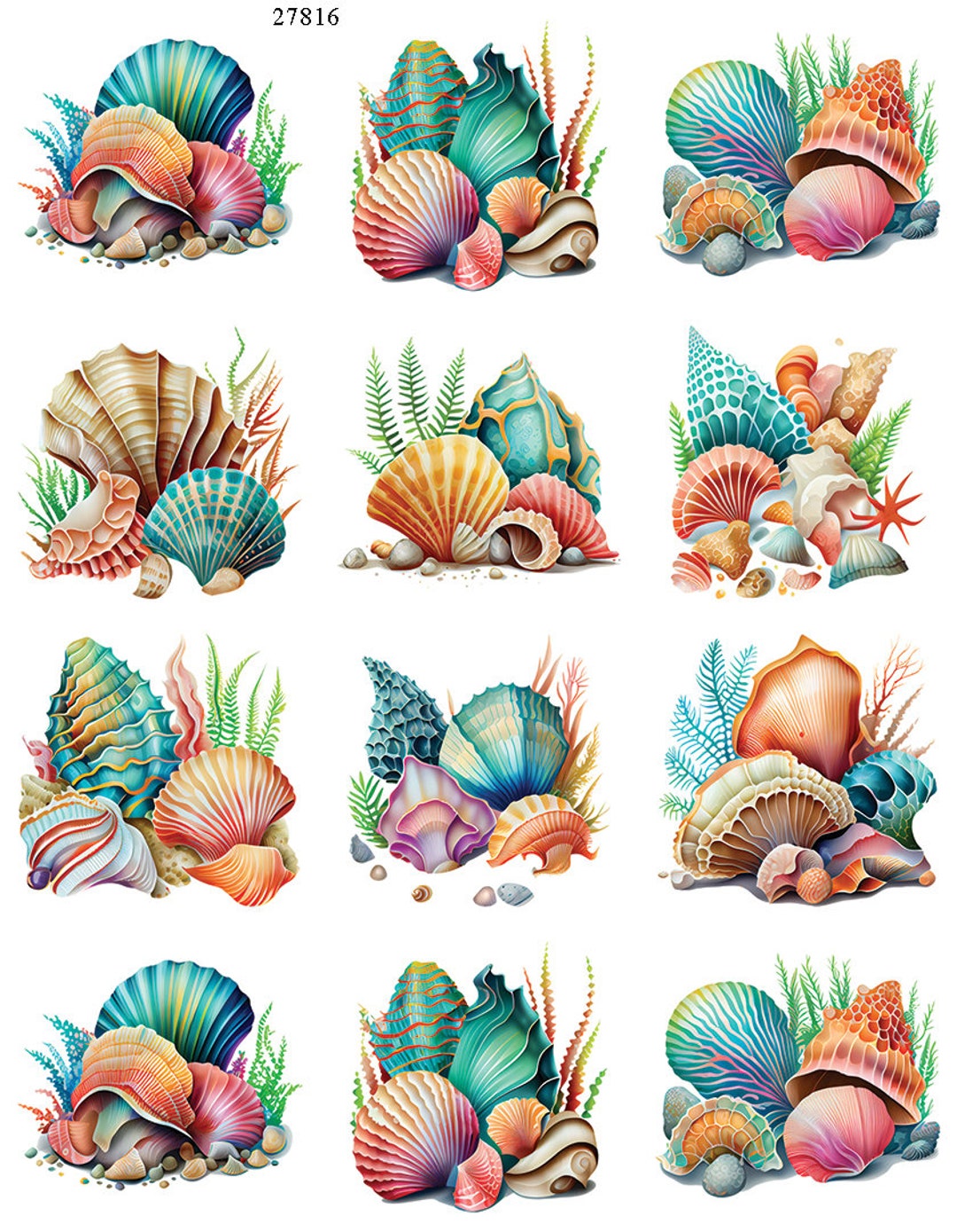 Colorful Sea Shells - Ceramic Decals - Glass Decal- 27816 - Etsy