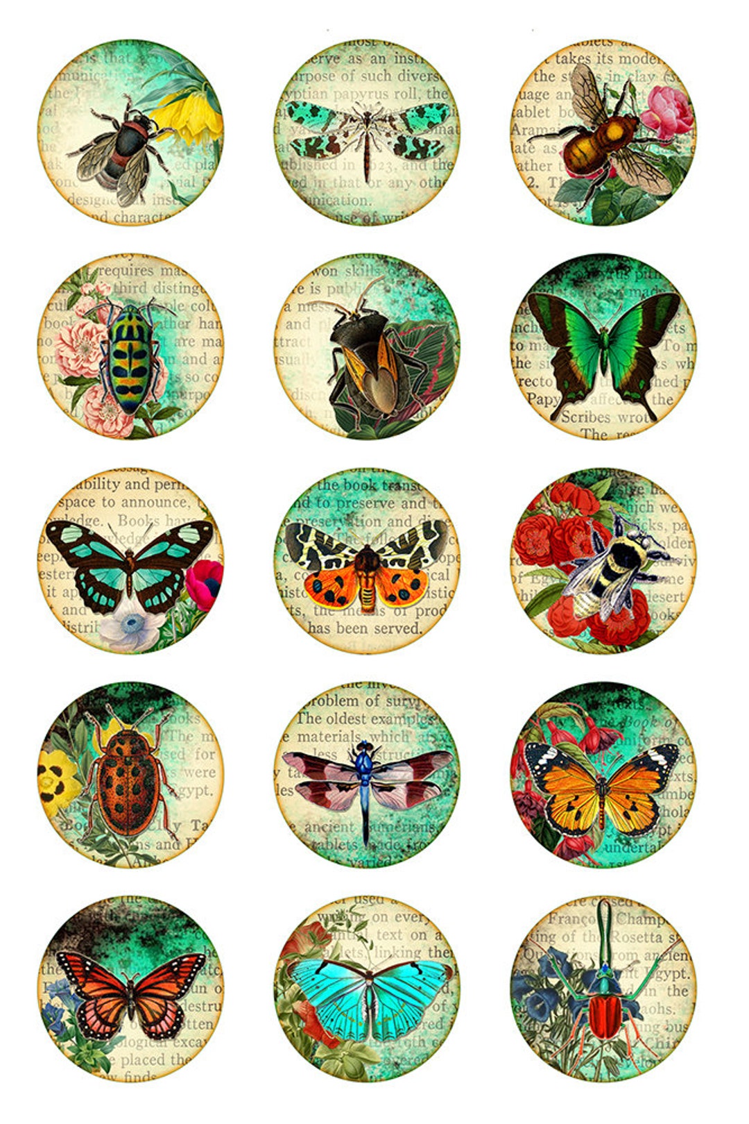 Decorative Insect Circles - Ceramic Decals- Enamel Decal - Glass Decal ...